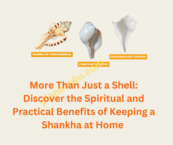 Shankh(The Sacred Conch) at Home: Your Gateway to Peace, Prosperity and ...